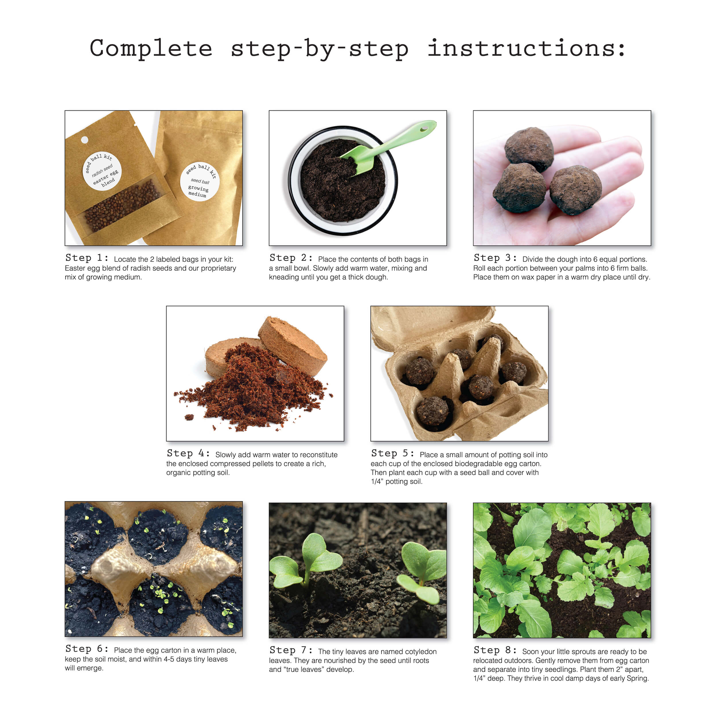 Seed Ball Kit - DIY Easter Egg Radish Seed Blend – elseware unplug